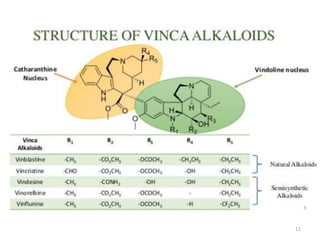 1-Unit-2-vinca.pdf . Alkaloid pharmacognosy & phytochemistry 2 | PPTX