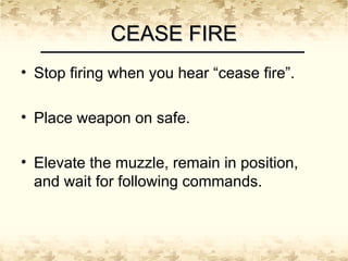 1-Weapons-Handling-Rifle-12-08-Pickel.ppt