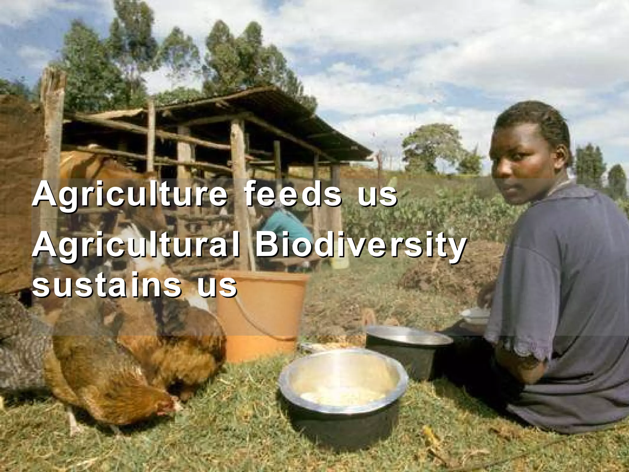 International Year of Biodiversity and the role of information | PPT