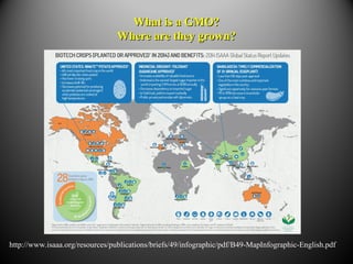 Genetically modified Organisms: Are they good to humanlife?.ppt