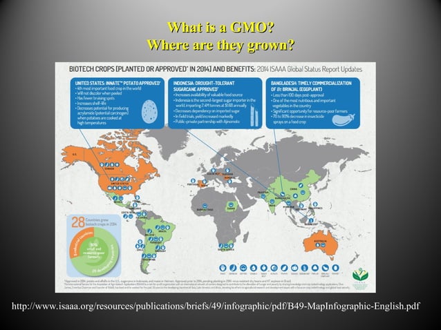 Genetically modified Organisms: Are they good to humanlife?.ppt | Agriculture | Industries