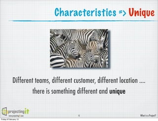 1 what is a project | PPT