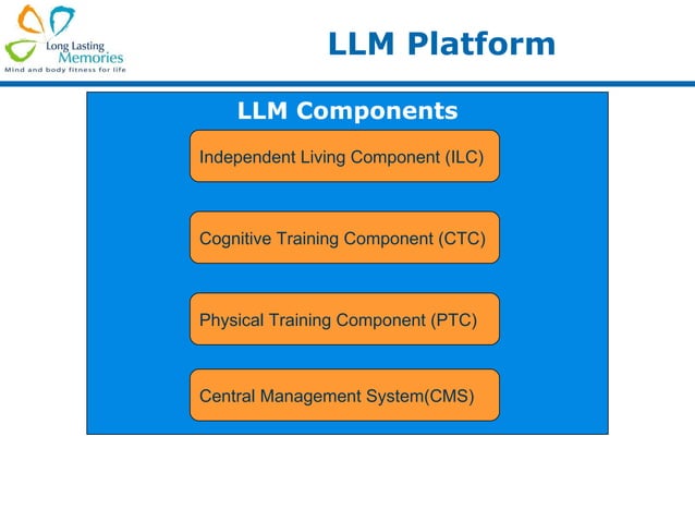 What is the llm service why use it? (scientific and technical issues) | PPT
