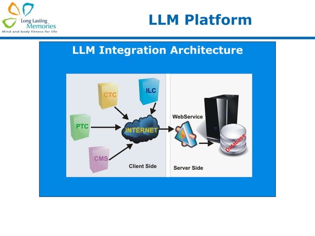 What is the llm service why use it? (scientific and technical issues) | PPT