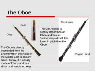 1 woodwind-family | PPT | Music | Entertainment