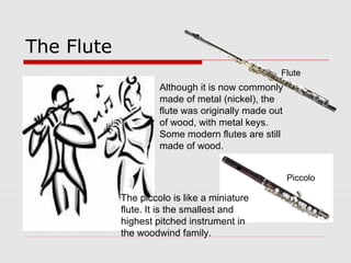 Woodwind Family Flute