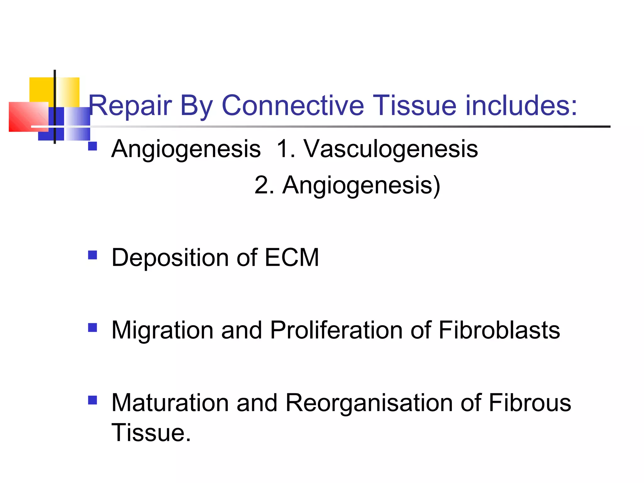 wound healing PPT | PPT