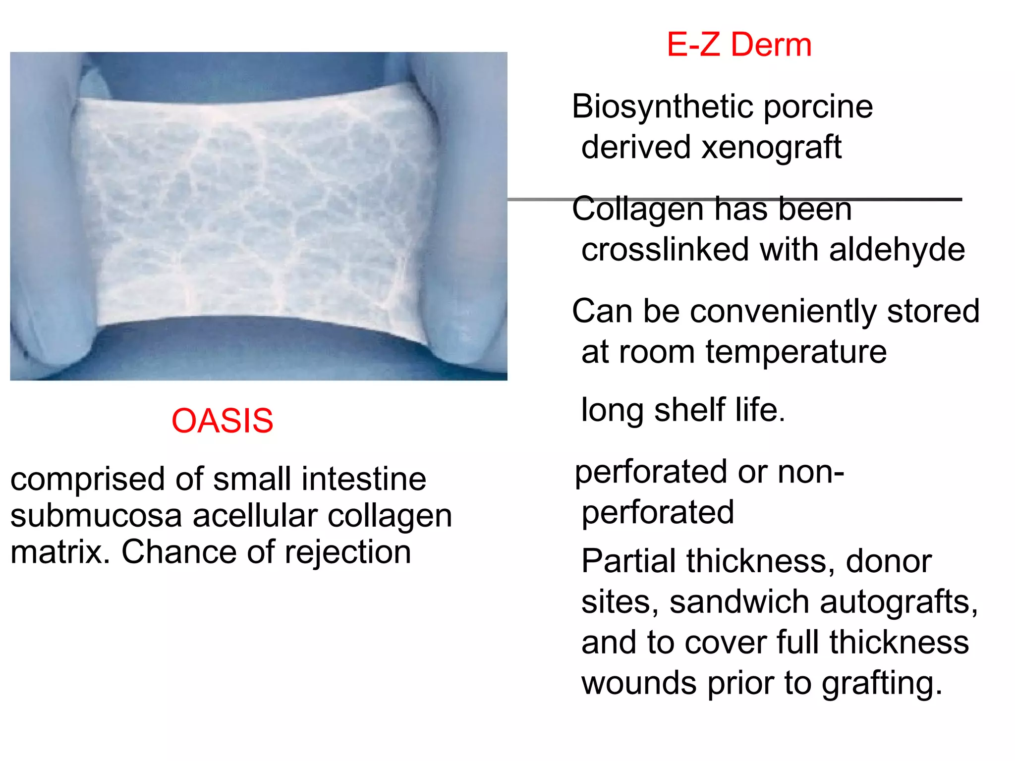 wound healing PPT | PPT