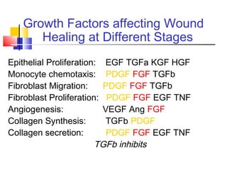 wound healing PPT | PPT