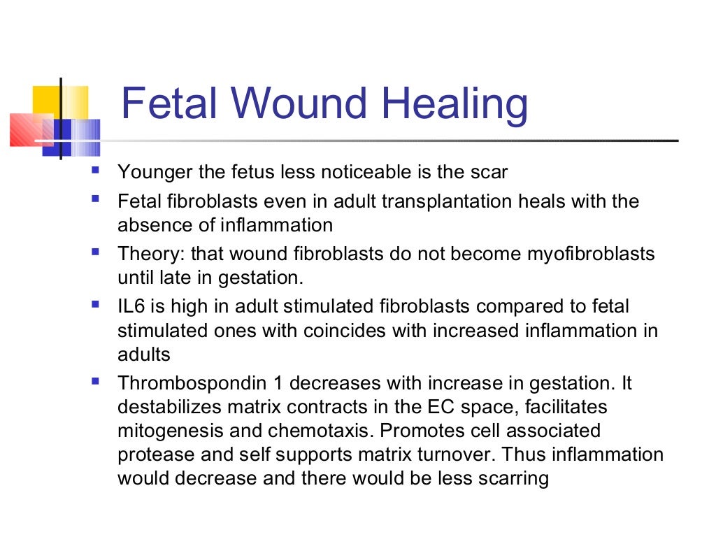 wound healing PPT