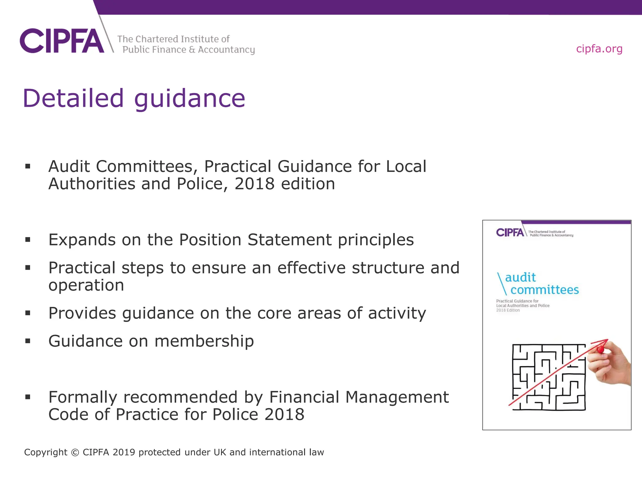 Presentation-Slides.audit committe n fin sttmntspdf | PDF