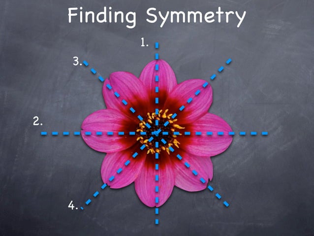 10-11 Using Symmetry | PPT