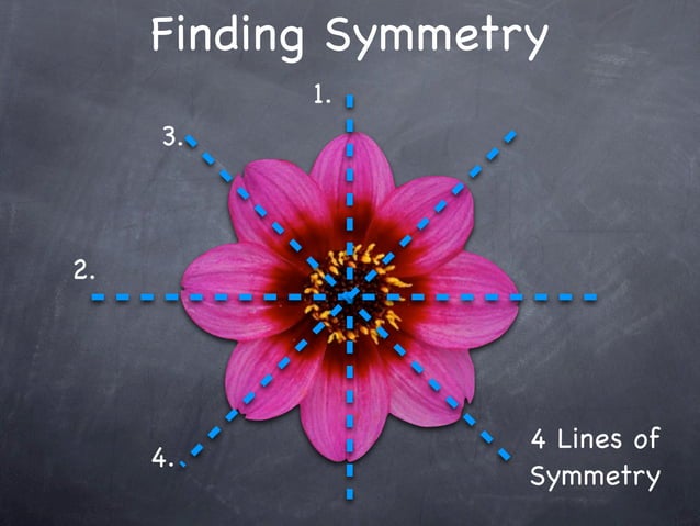 10-11 Using Symmetry | PPT