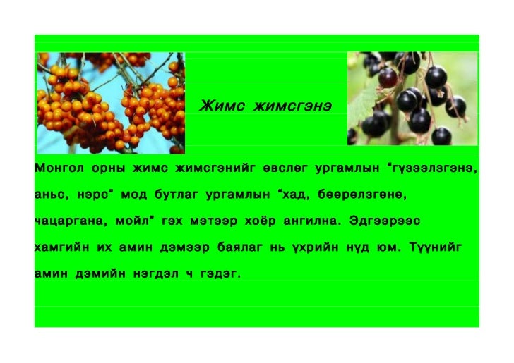хэрэглэгдэхүүн 10