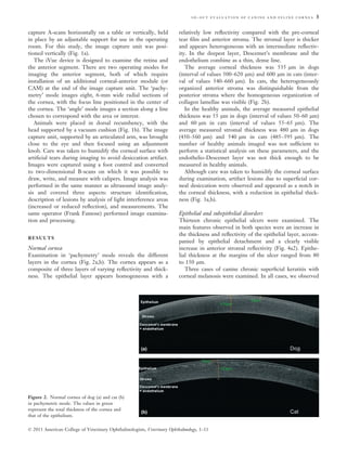 OCT cornea dogs and cats | PDF