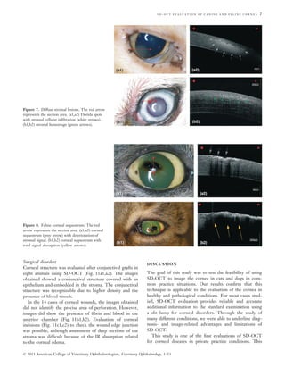 OCT cornea dogs and cats | PDF