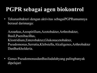 BIOTEKNOLOGI TANAH tentang PGPR ilmu tanah | PPTX