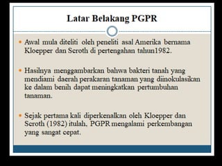 BIOTEKNOLOGI TANAH tentang PGPR ilmu tanah | PPTX