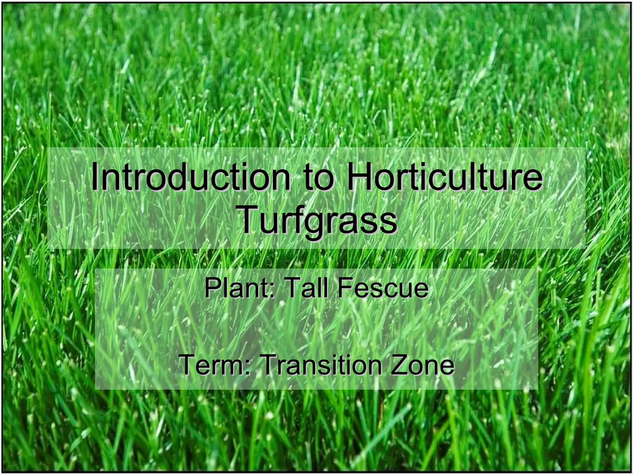 Turf Transition Zone | PPT