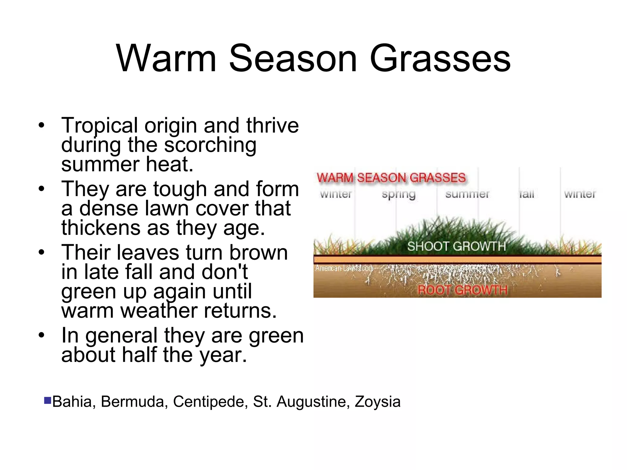 Turf Transition Zone | PPT