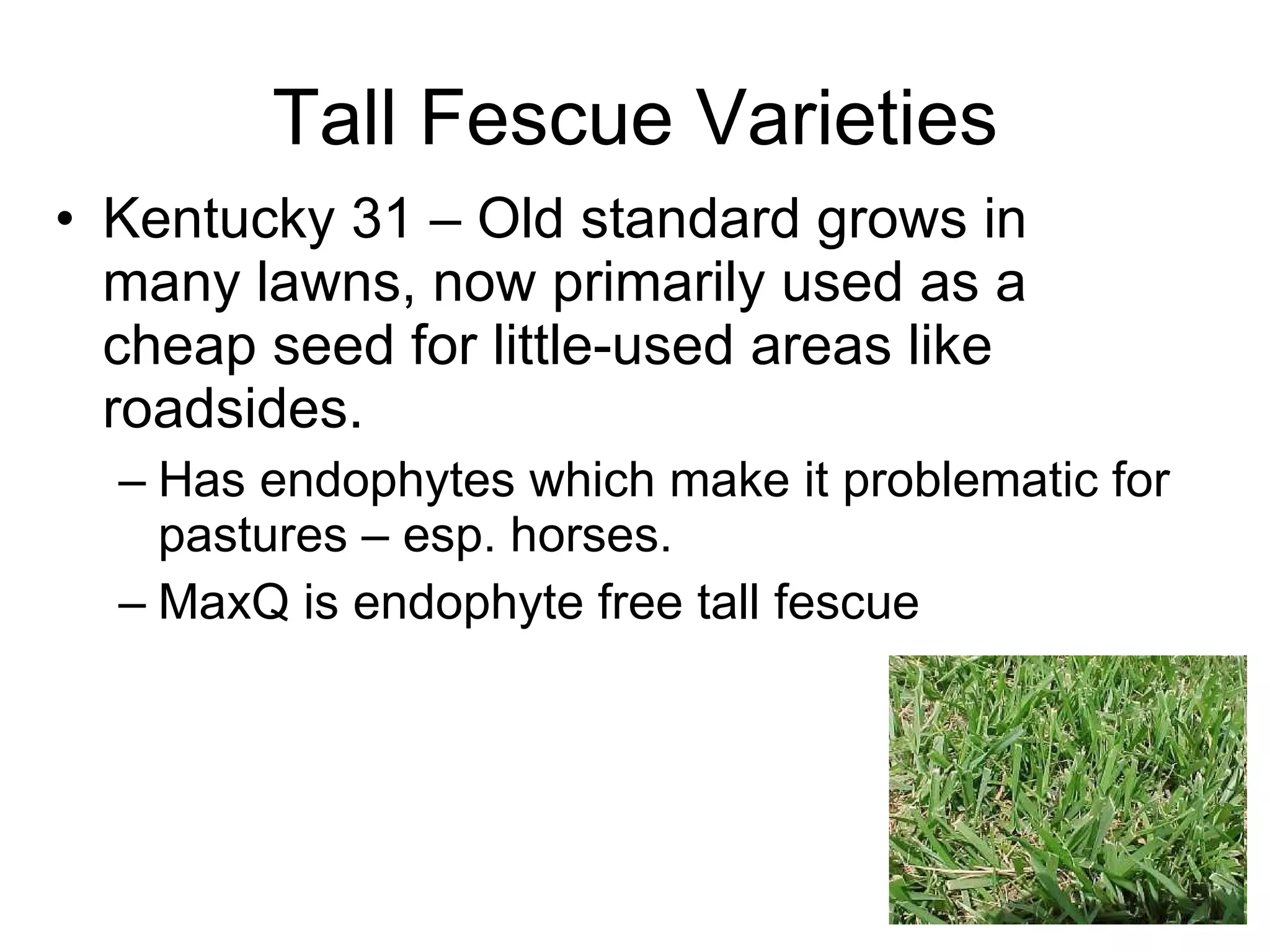 Turf Transition Zone | PPT
