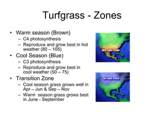 Turf Transition Zone | PPT