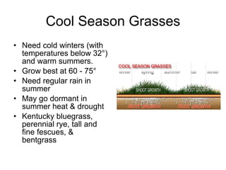 Turf Transition Zone | PPT