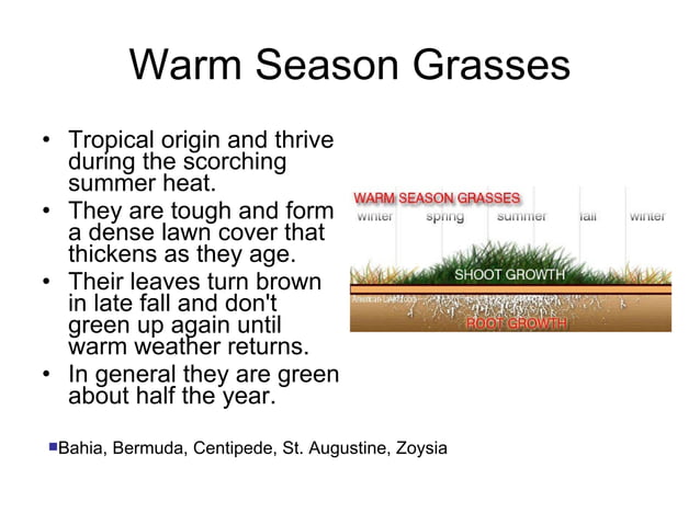 Turf Transition Zone | PPT