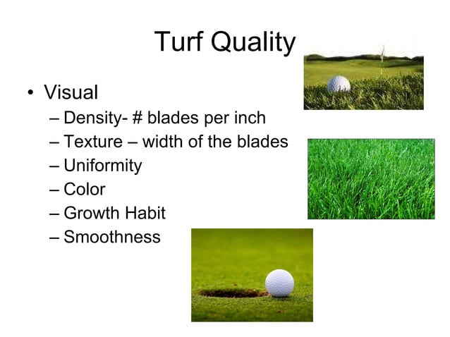 Turf Transition Zone | PPT