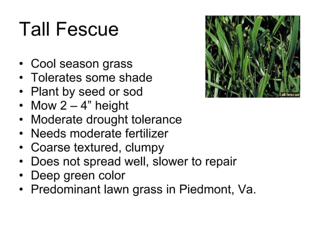 Turf Transition Zone | PPT
