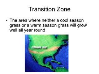 Turf Transition Zone | PPT