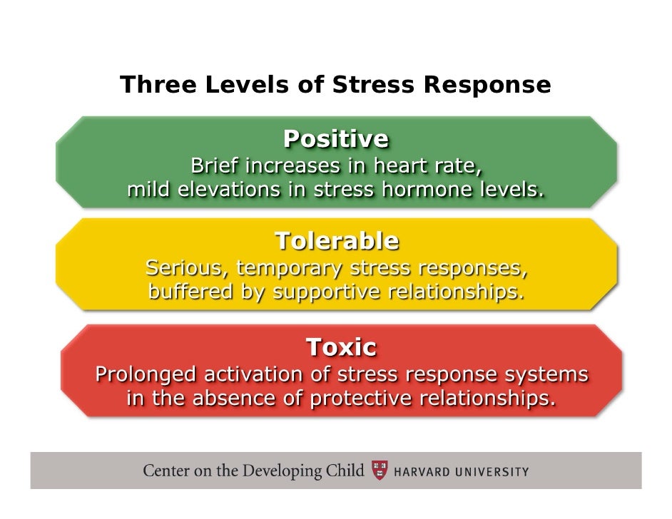Reducing Toxic Stress to Protect the Health of our Children