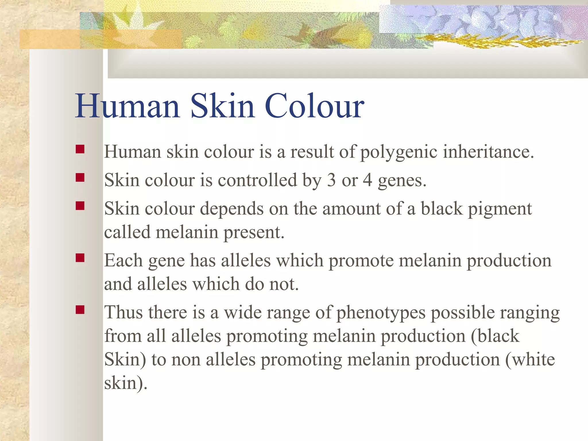 10.3 polygenic inheritance | PPT