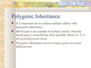 10.3 polygenic inheritance | PPT