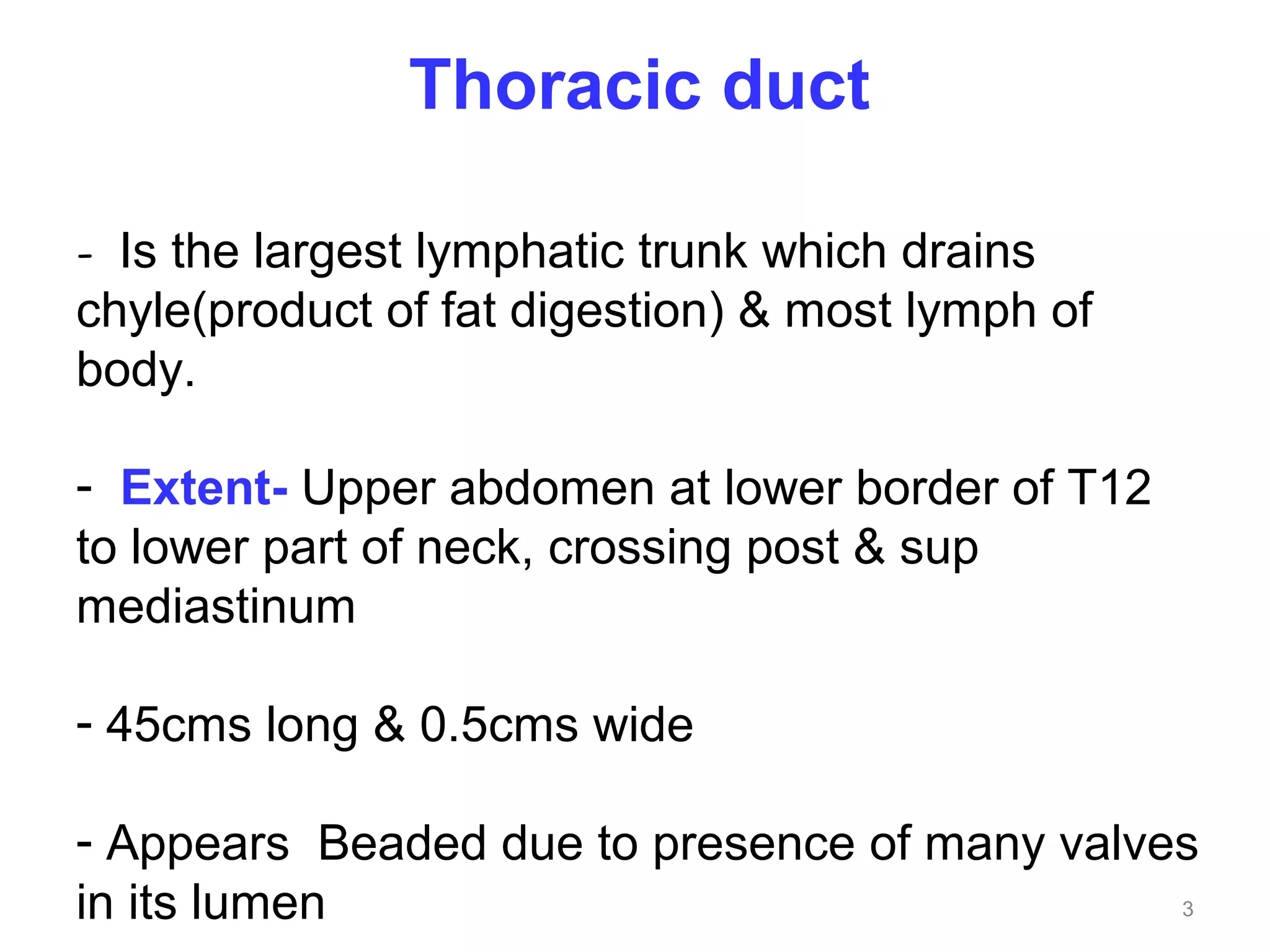 thoracic duct | PPT