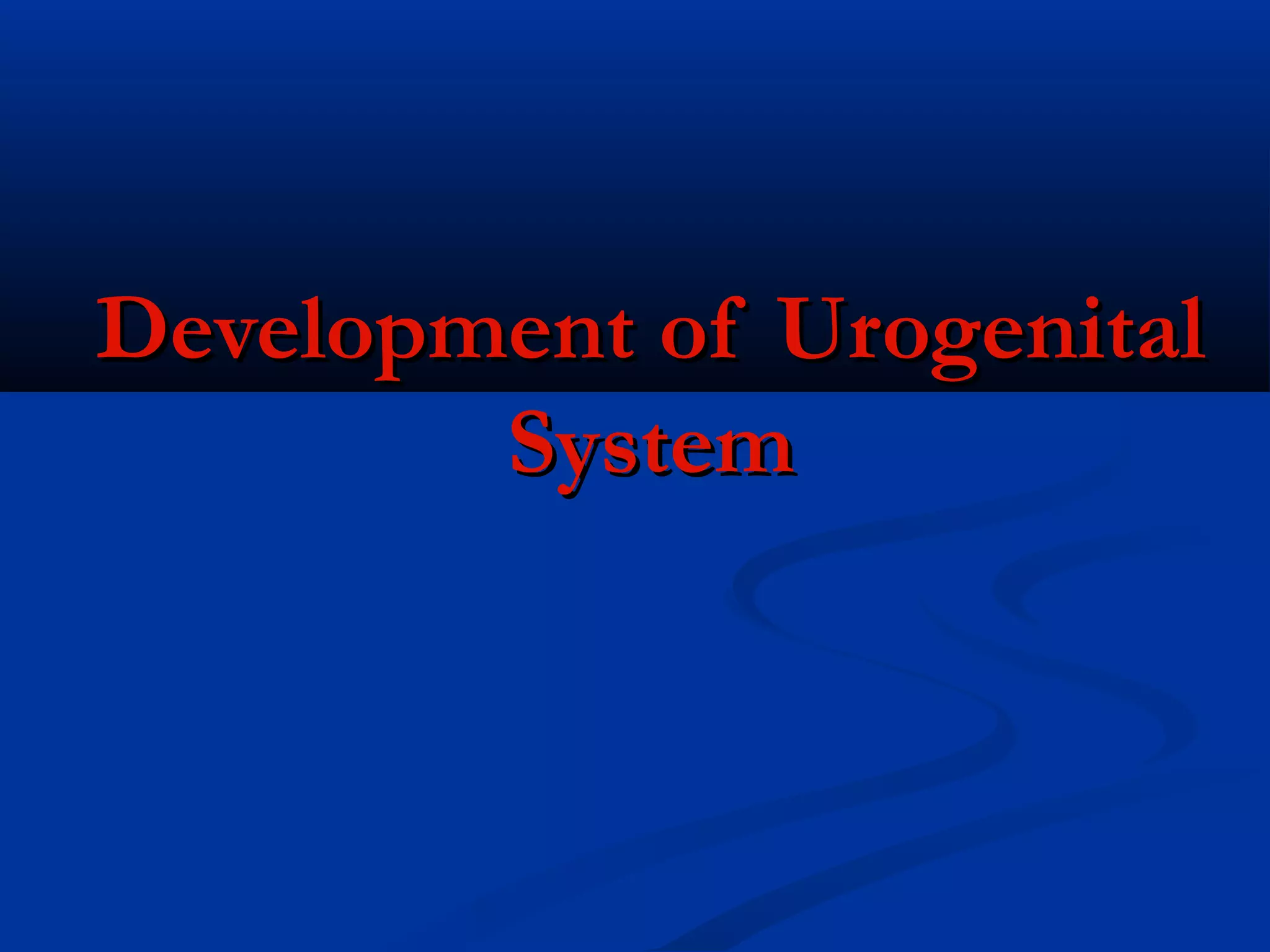 10.development of urogenital system | PPT