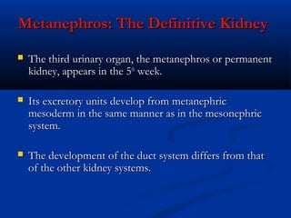 10.development of urogenital system | PPT