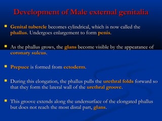10.development of urogenital system | PPT