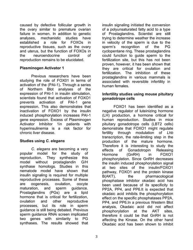 10. monica rivera second draft revised 3 | PDF