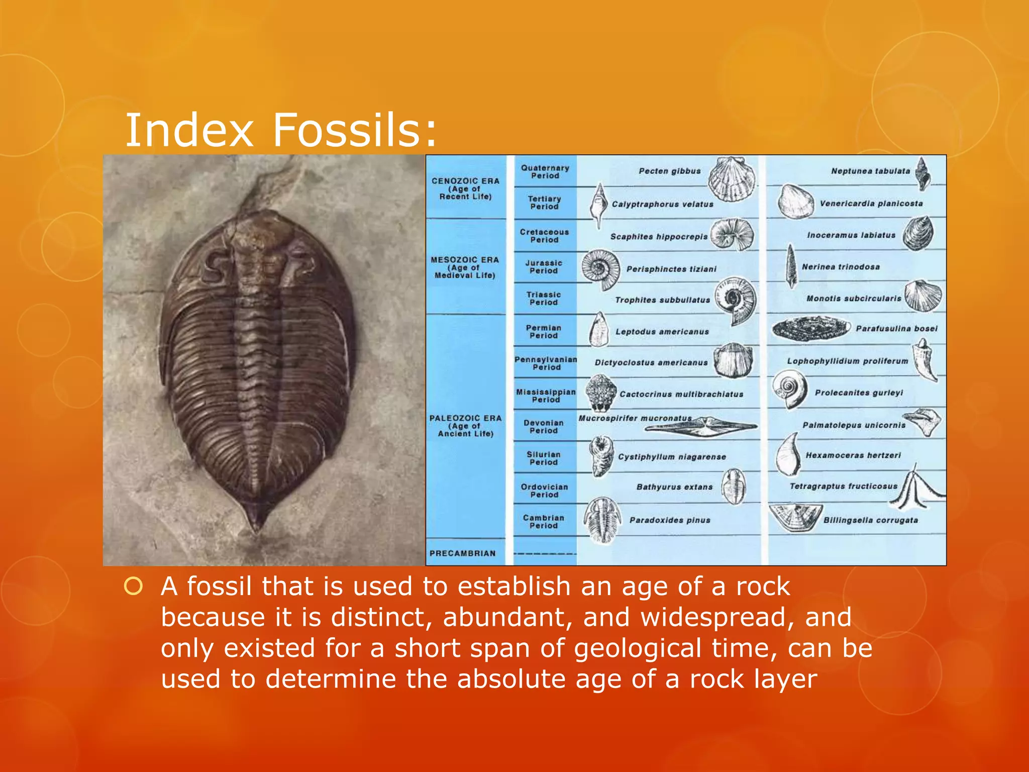10. fossil notes | PPTX