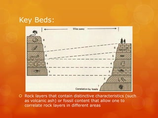 10. fossil notes | PPTX | Geology | Science