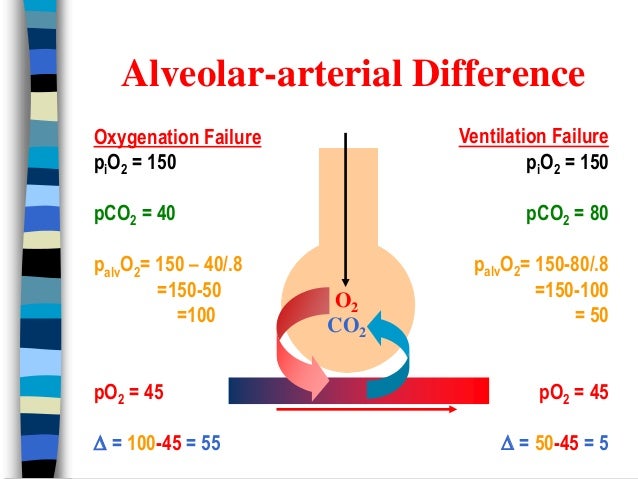 10. abg analysis