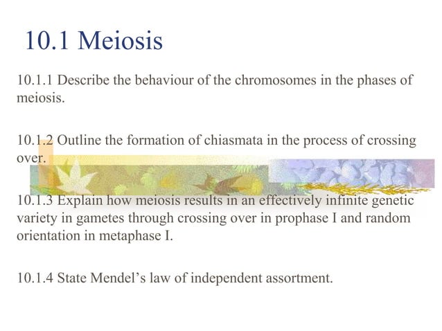 10.1 meiosis | PPT