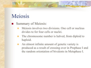 10.1 meiosis | PPT | Genetics | Science