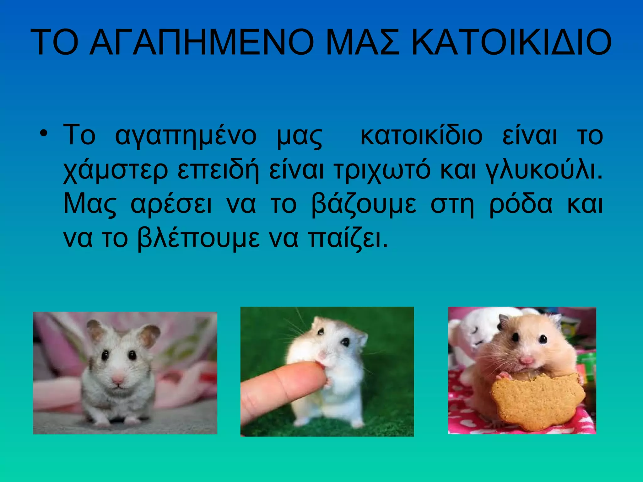 τα αγαπημενα μου πραγματα10 | PPT