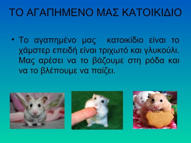τα αγαπημενα μου πραγματα10 | PPT