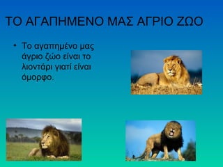 τα αγαπημενα μου πραγματα10 | PPT