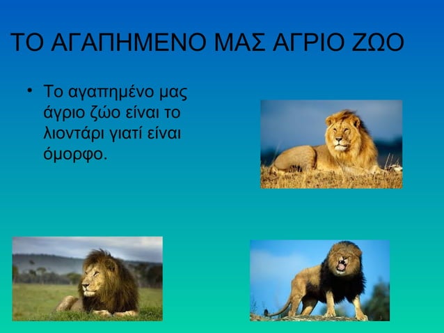 τα αγαπημενα μου πραγματα10 | PPT