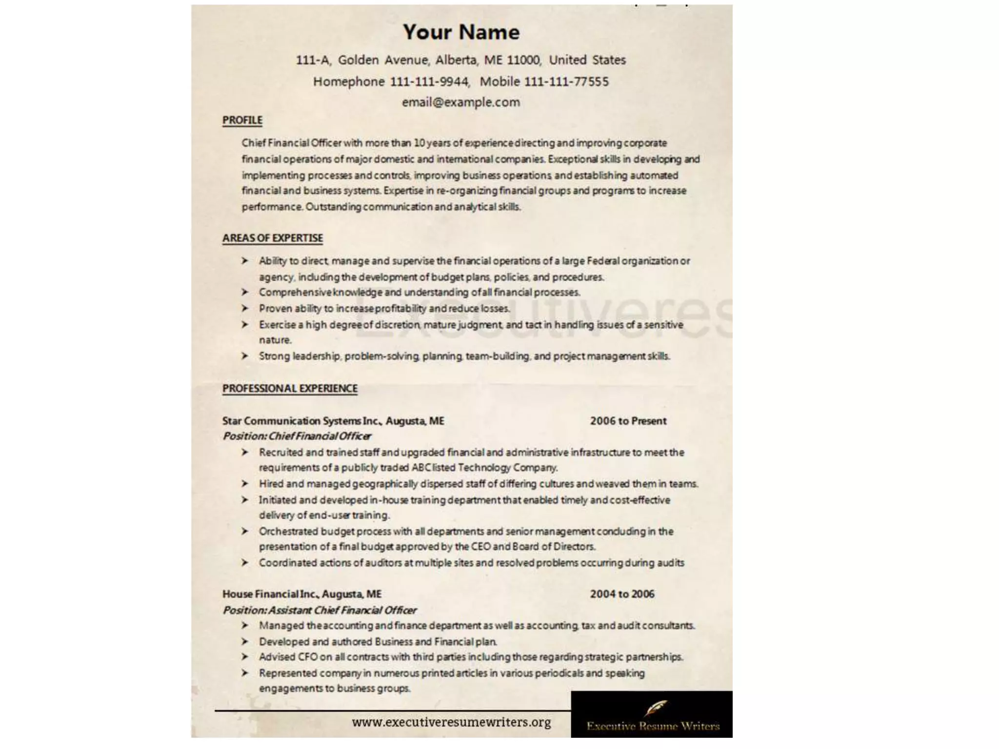 ceo resume sample | PPT