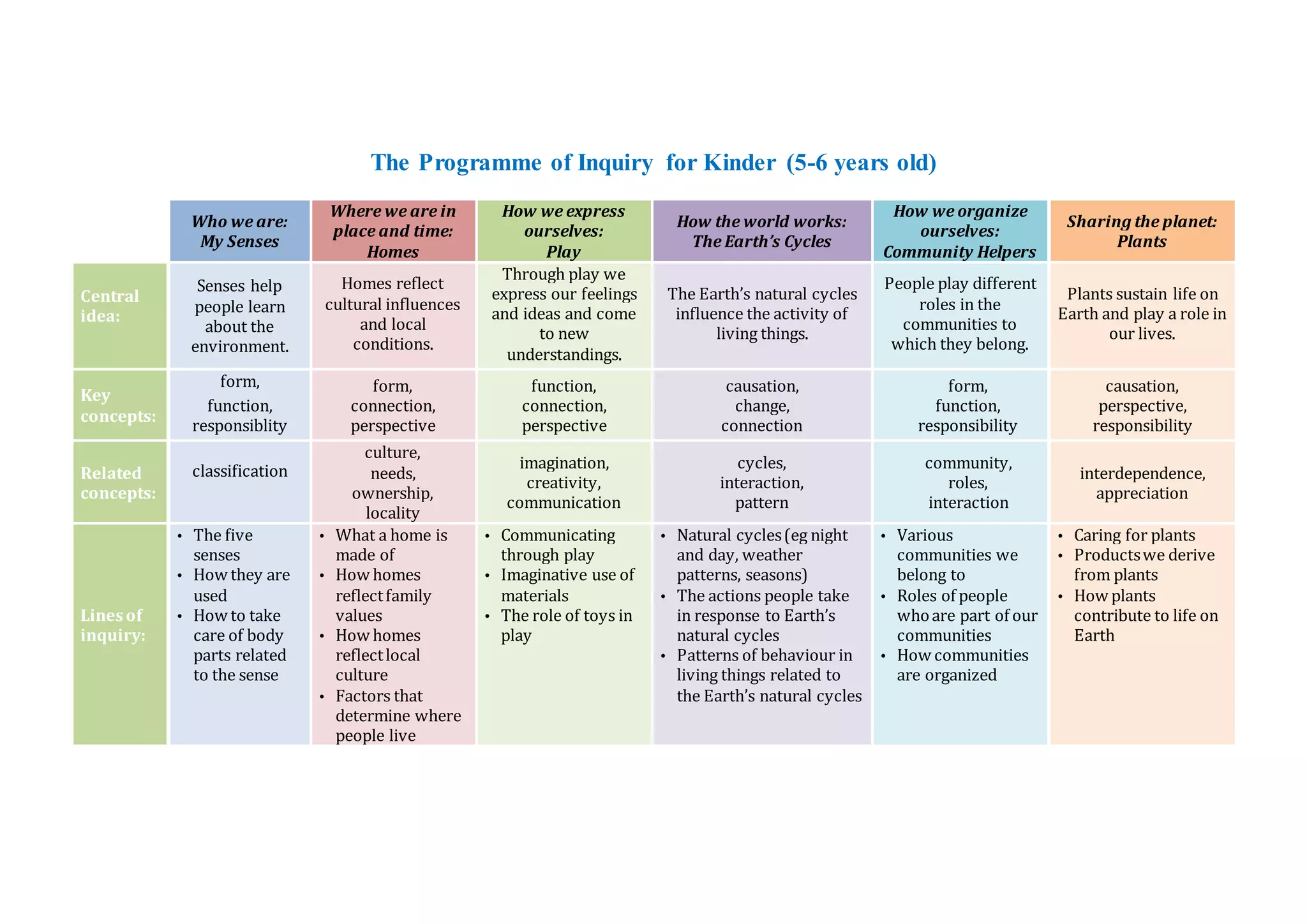 10. the pyp programme of enquiry | DOCX